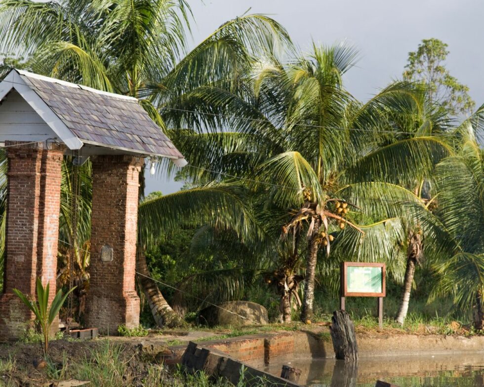 Mon guide pour découvrir le Suriname